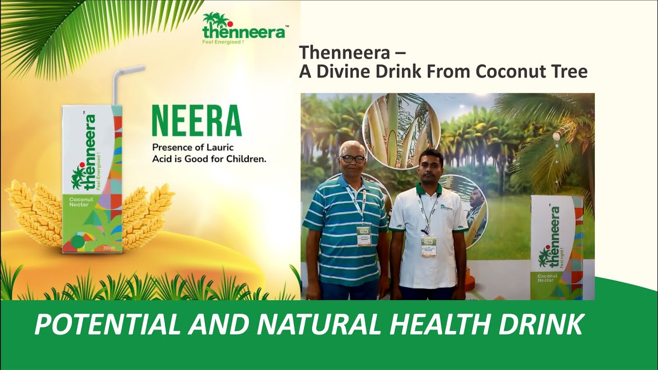 Thenneera –A Divine Drink From Coconut Tree I Health Drink I coconut ...