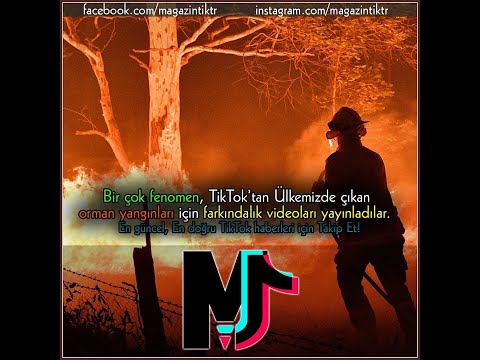 Tiktok Fenomenlerinin Orman Yangınları Hakkındaki Videoları