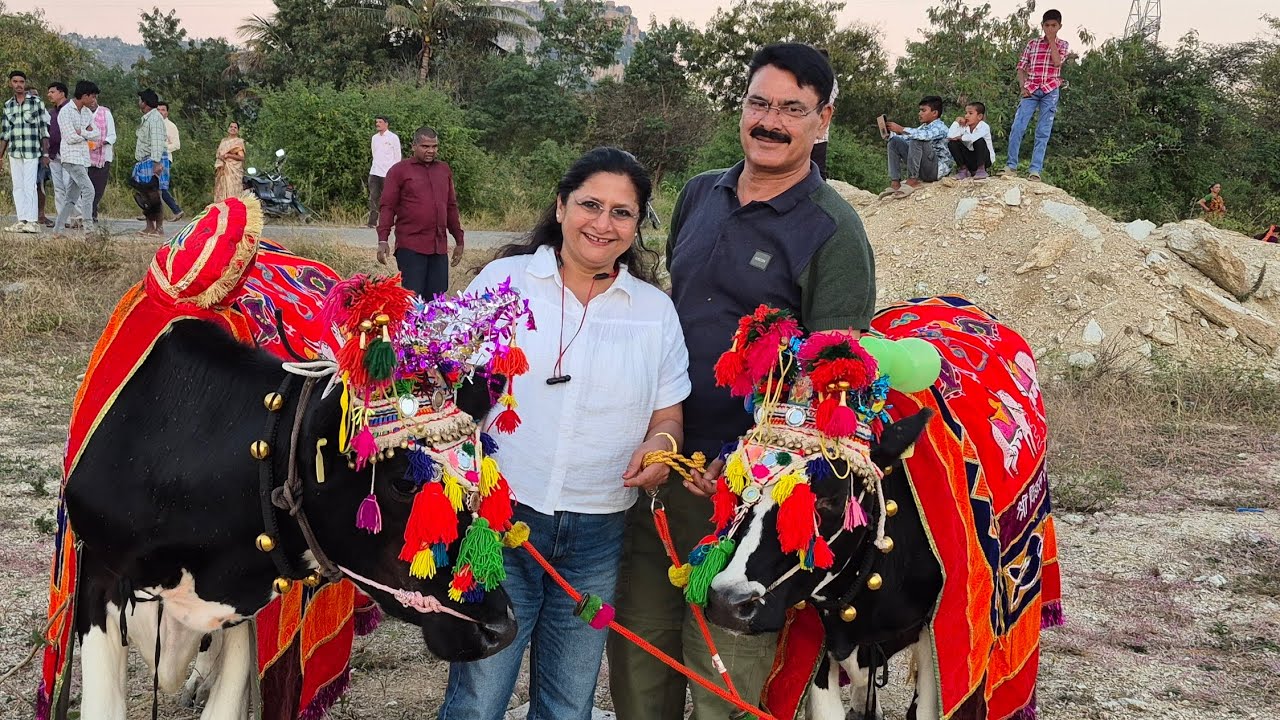 Makar Sankranti Celebration in Andhra Pradesh Episode - 4 - YouTube