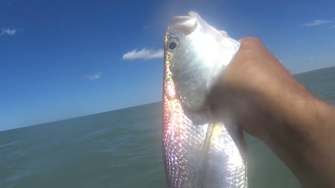 Kayak Fishing - Reta 2019 Argentina - YouTube