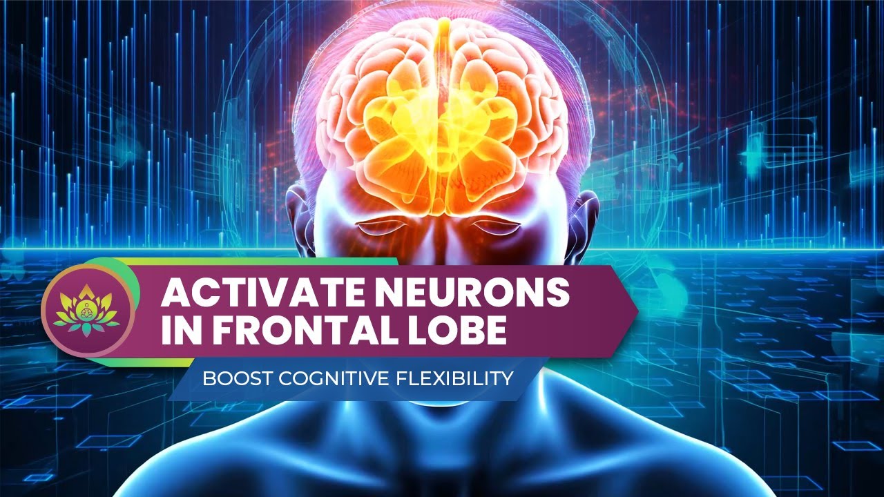Activate Neurons In Frontal Lobe - Boost Cognitive Flexibility ...