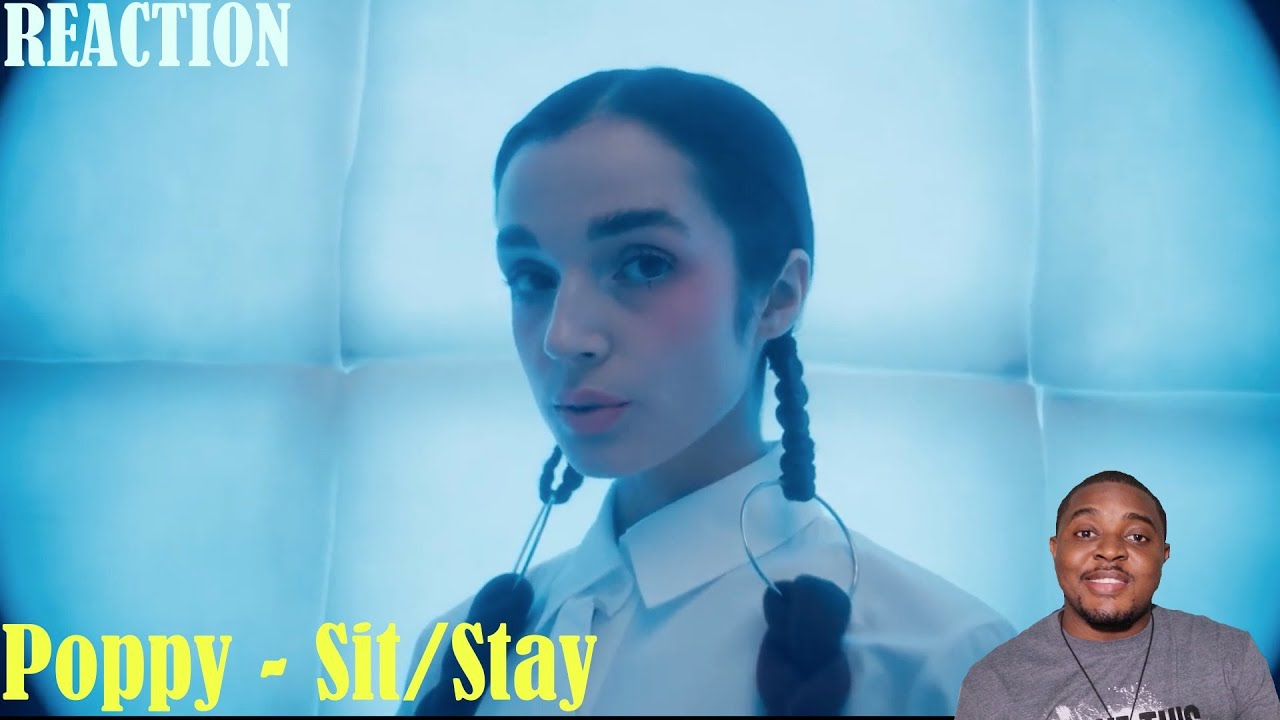 Poppy - Sit/Stay REACTION - YouTube