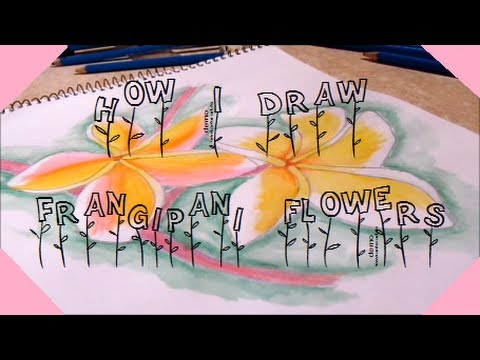 How I Draw Frangipani Flowers - YouTube