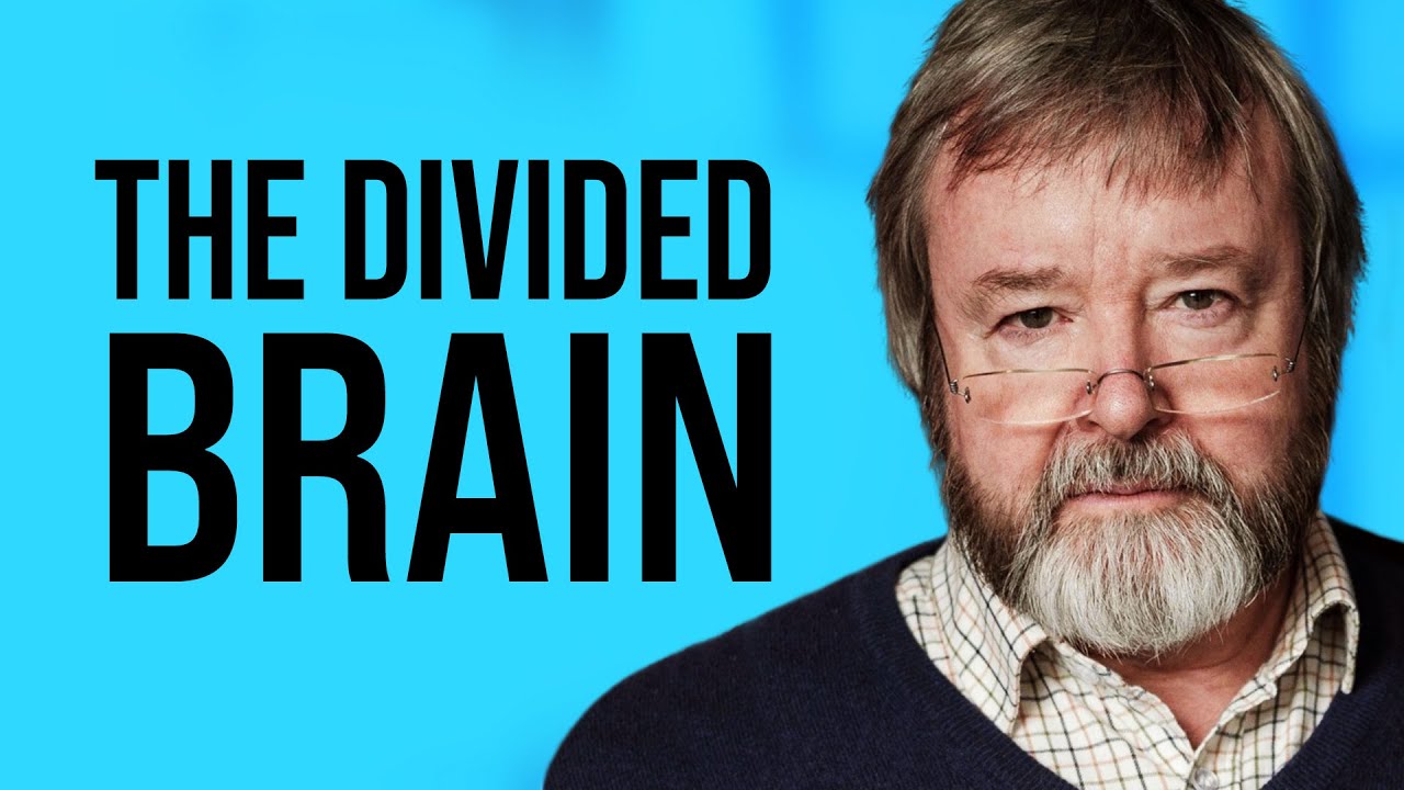 Everything You Know About the BRAIN is WRONG! Here’s How the Brain ...