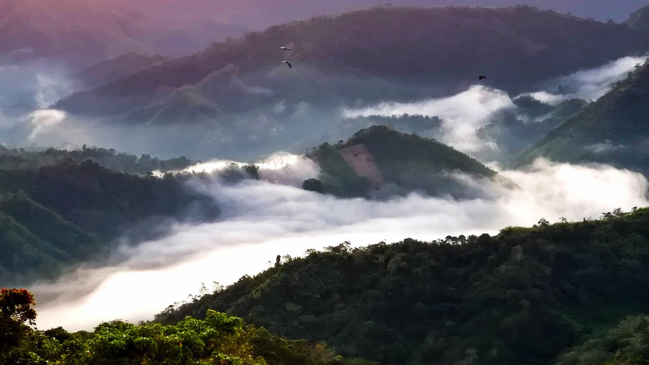 Mt. Pugad The Peak Campsite - YouTube