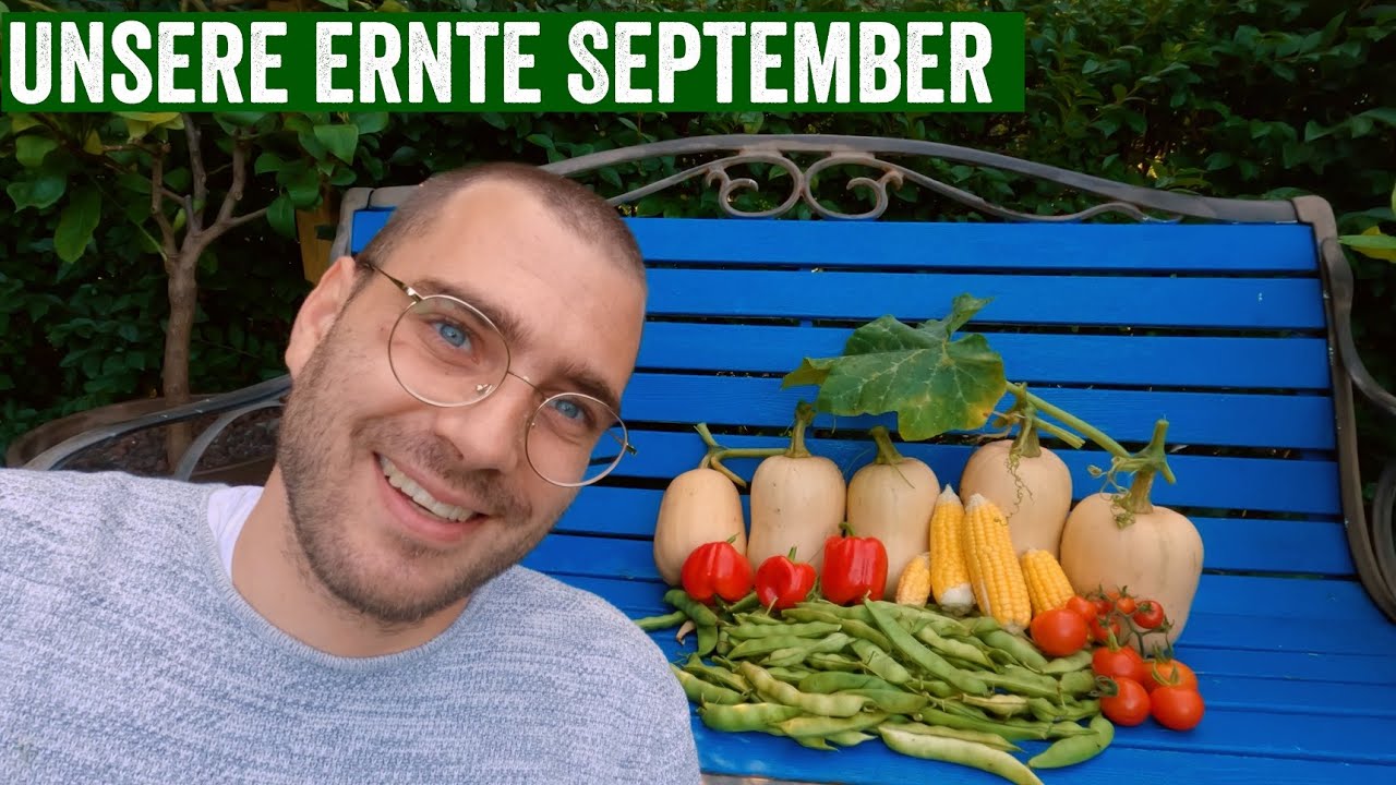 Unsere Ernte im September - Enttäuscht von meinem anfangs Lieblingsbeet ...