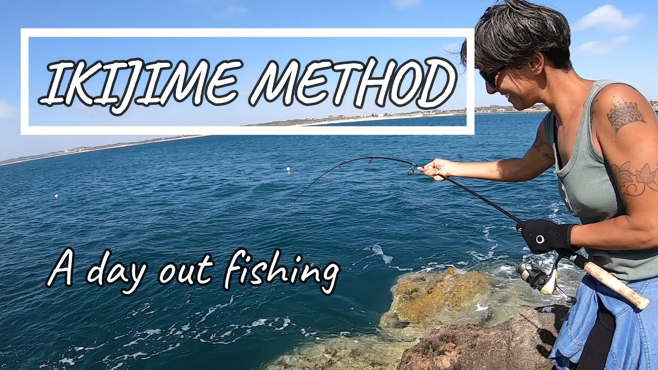 IKIJIME METHOD - THE BEST WAY TO KILL YOUR FISH - YouTube