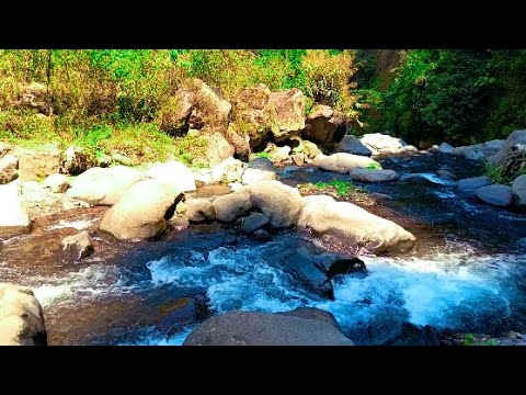 Relaxing with beautiful river scene | sleep - relax - enjoy life - ASMR ...