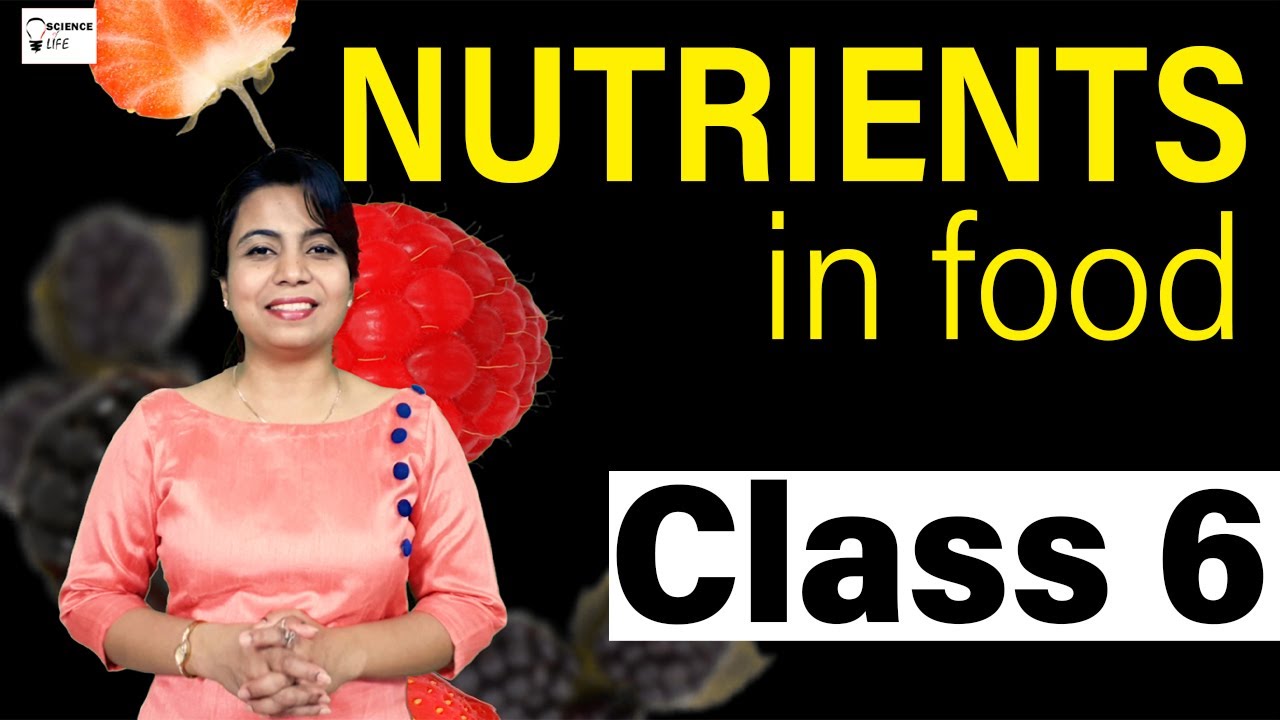 Class 6 | NCERT and CBSE Science | Nutrients in food | Easy Visual ...