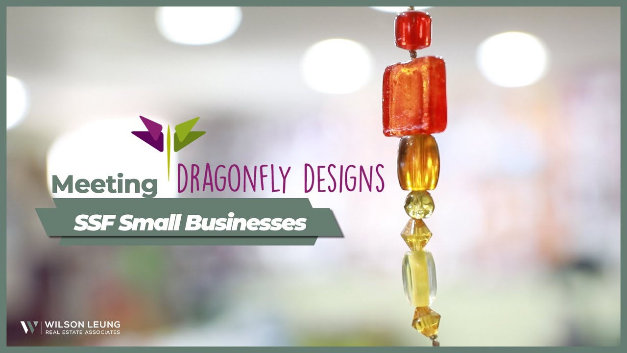 Dragonfly Designs x Wilson & Associates | Local Business Spotlight ...