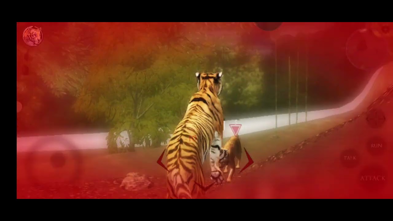 Tiger's life,Ultimate Tiger Simulator 2 - YouTube