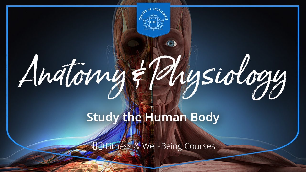 Anatomy and Physiology Diploma Course | Centre of Excellence ...