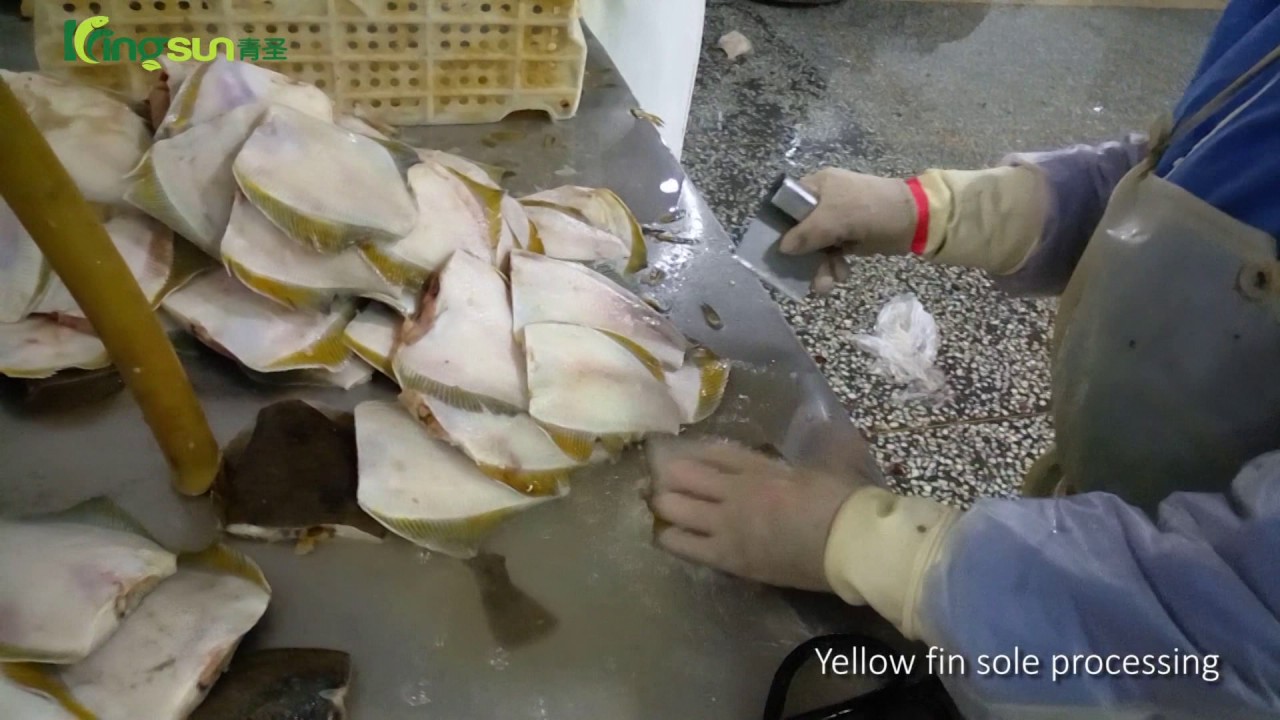 Yellow Fin Sole