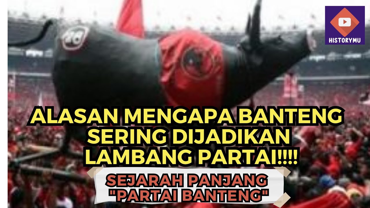 SEJARAH PANJANG PENGGUNAAN BANTENG SEBAGAI LAMBANG PARTAI - YouTube