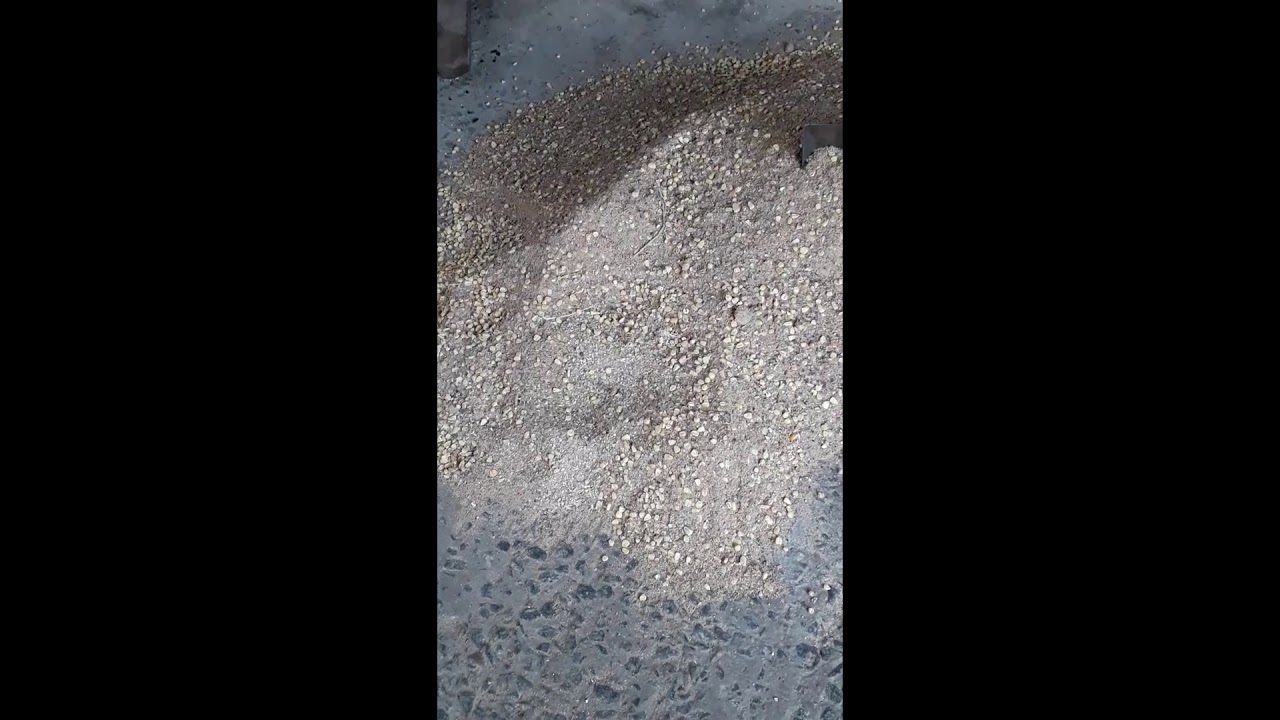 LOCAL FEED FORMULATION FOR LAYERS - YouTube