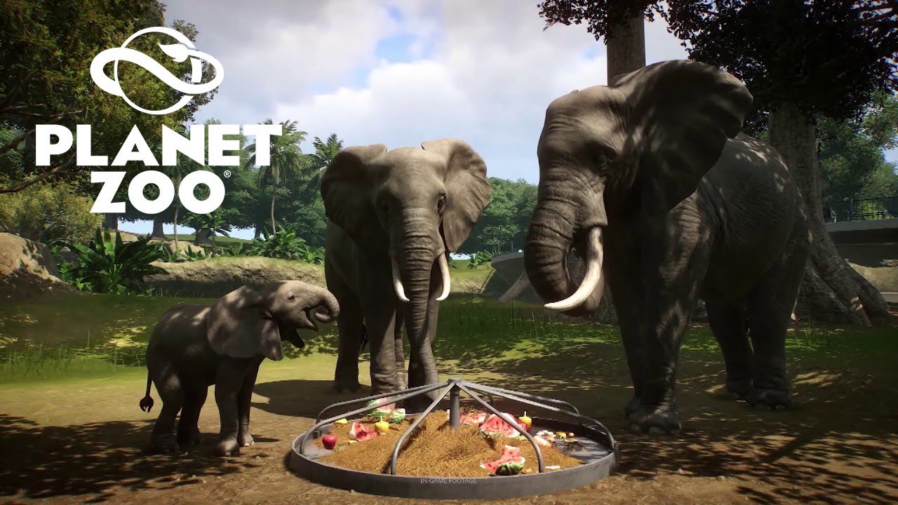Planet Zoo. Gameplay PC. - YouTube