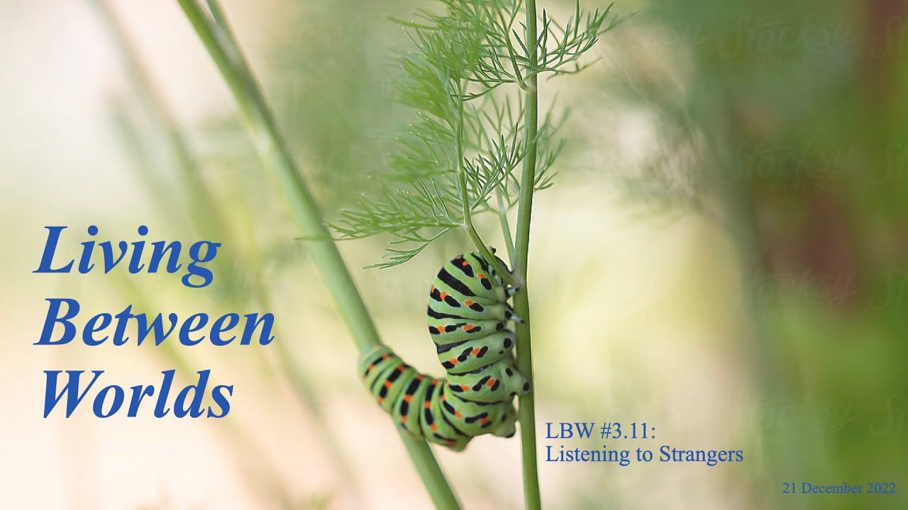 Living Between Worlds 3.11—LISTENING to Strangers - YouTube