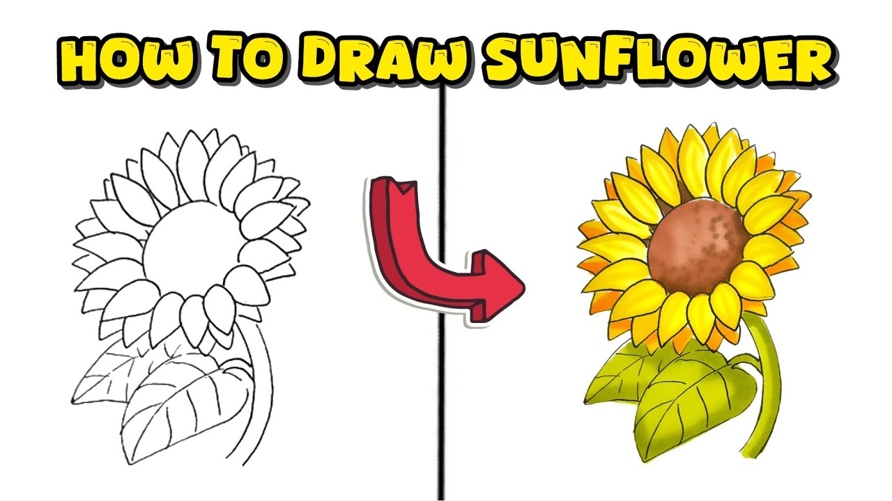 How to Draw a Sunflower – Beautiful Spring Drawing with Vibrant Colors ...