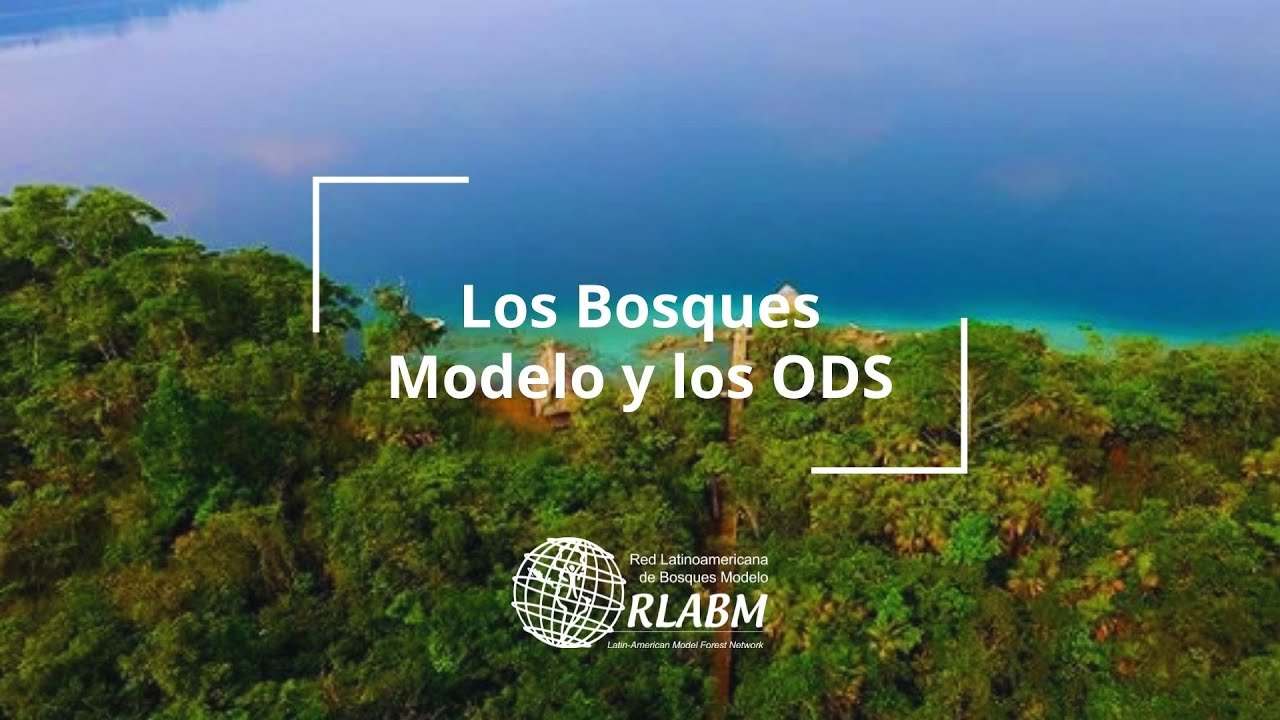 Los Bosques Modelo y los ODS - YouTube