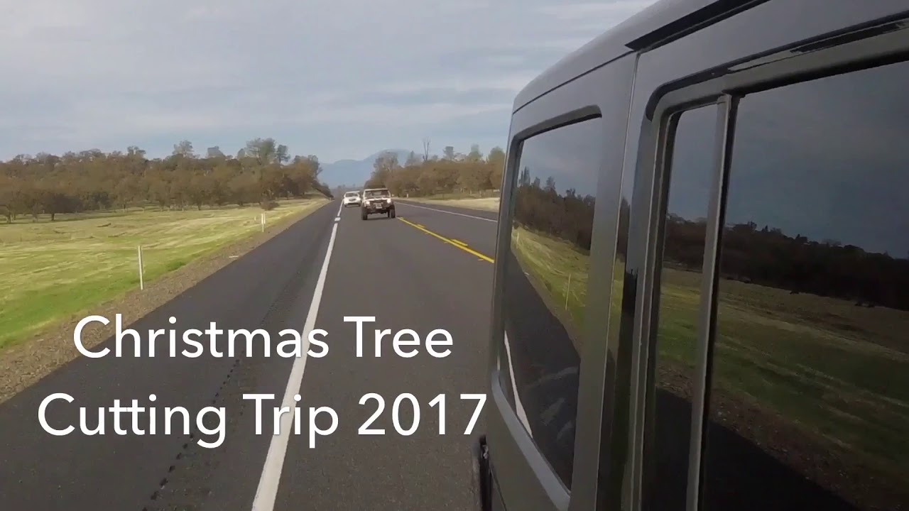 Christmas Tree Cutting Trip - YouTube