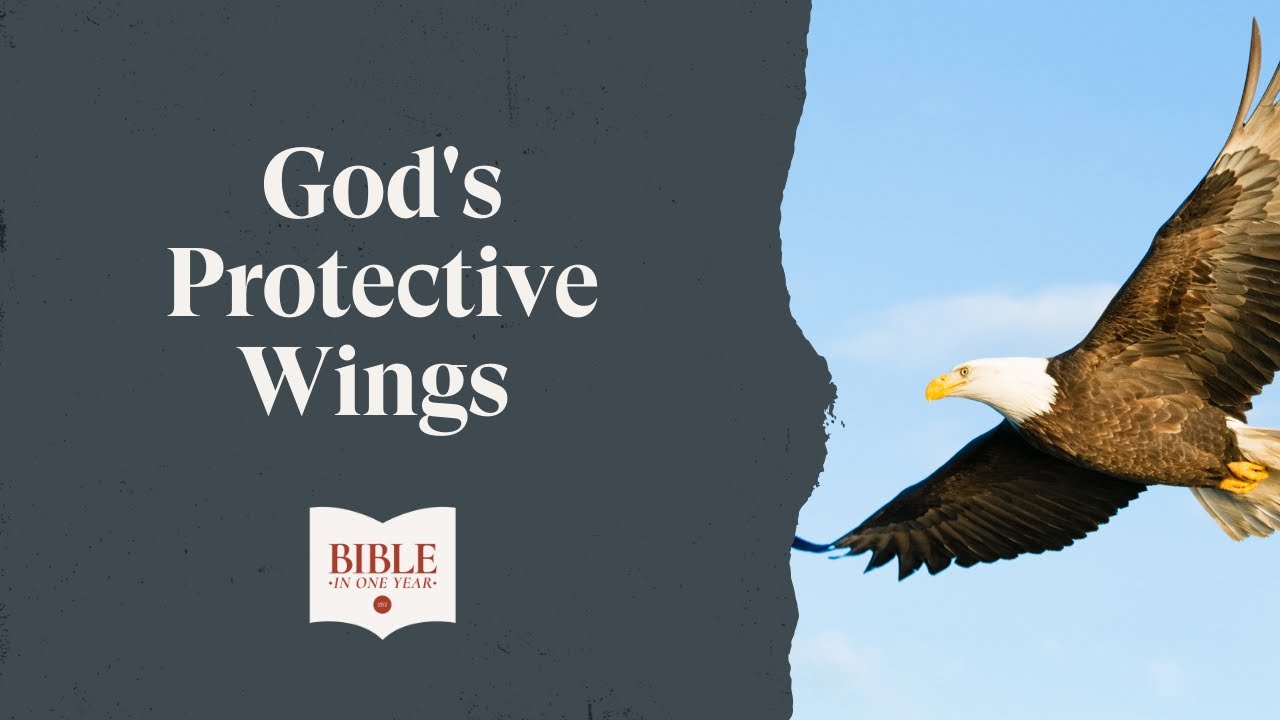 God's Protective Wings - Psalm 5 - YouTube