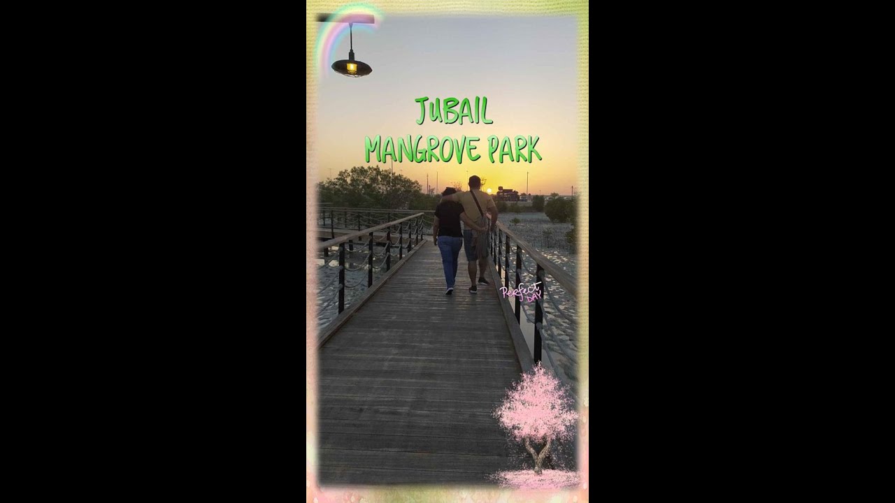 Exploring the Natural beauty of Jubail Mangrove Park #jubai island # ...