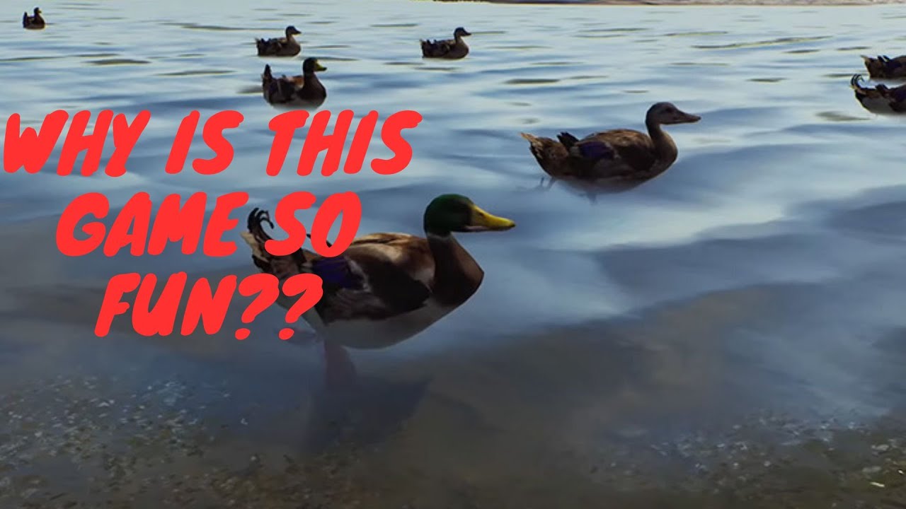 Deer Management And Duck/Geese Hunting - Way Of The Hunter - PS5 - YouTube