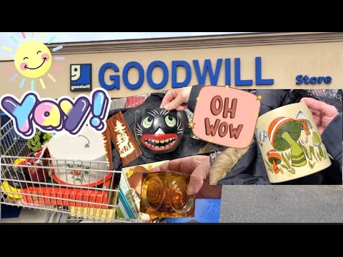 It Was A GREAT Day of Thrifting at the Goodwill Bins | Lots of Amazing ...