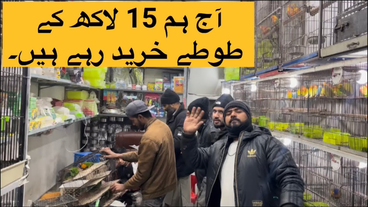 Usman bhai ne liye 15 lac k totay (jb birds Gujranwala) - YouTube