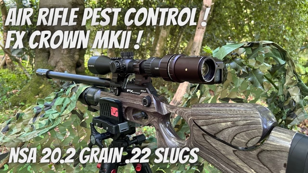 Grey Squirrel control with the FX Crown MKII .22 in the open woods ...