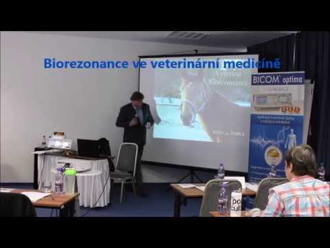 Biorezonance ve veterinární medicíně - YouTube