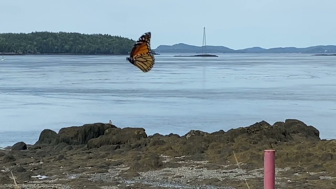 By The Bay New Brunswick Canada - YouTube