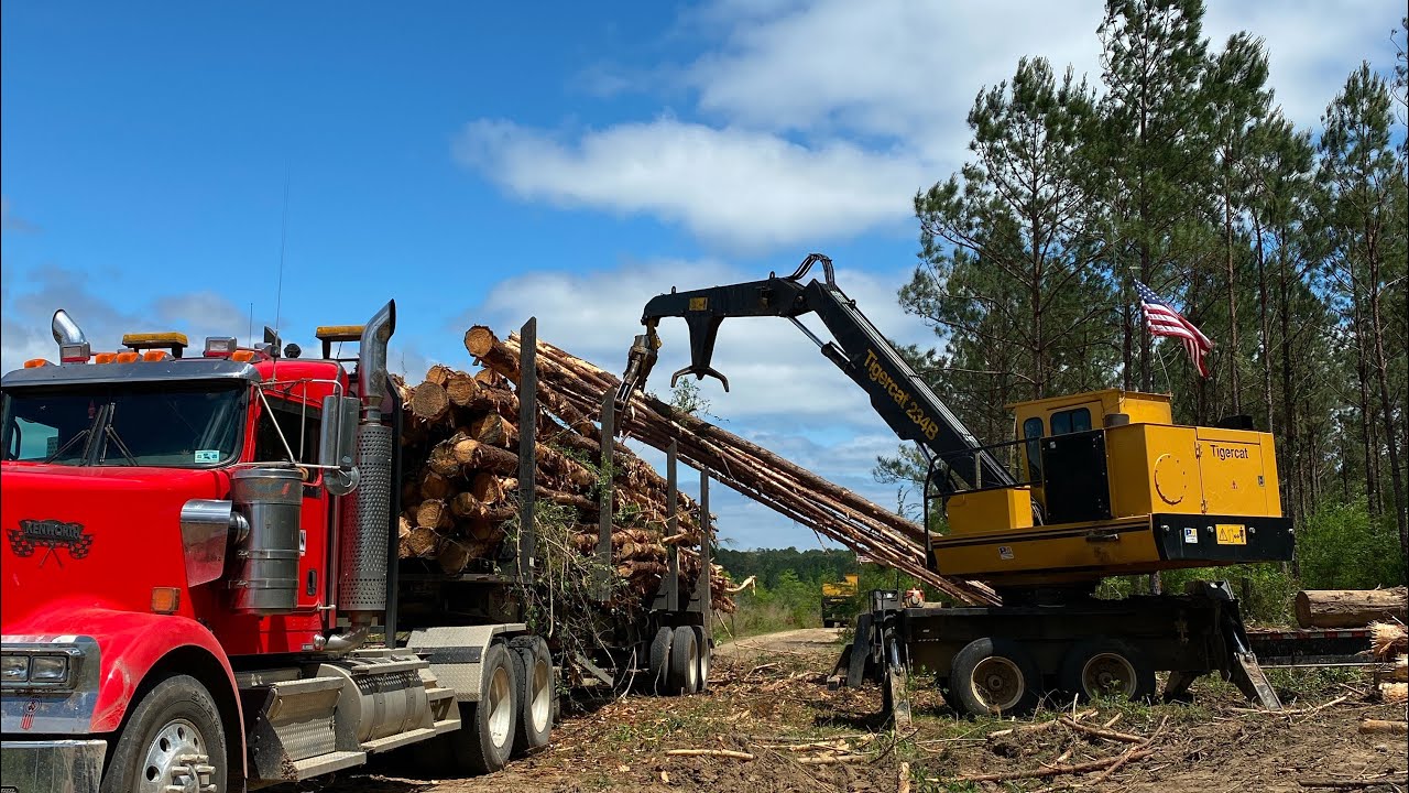 How Fast Can The Tigercat 234B Delimb Trees?!? - YouTube