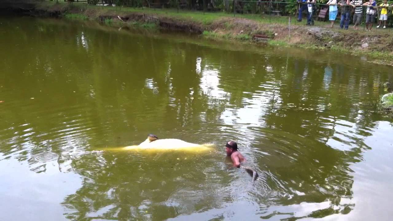 Chito y Pocho 2/Oct//2011 - YouTube