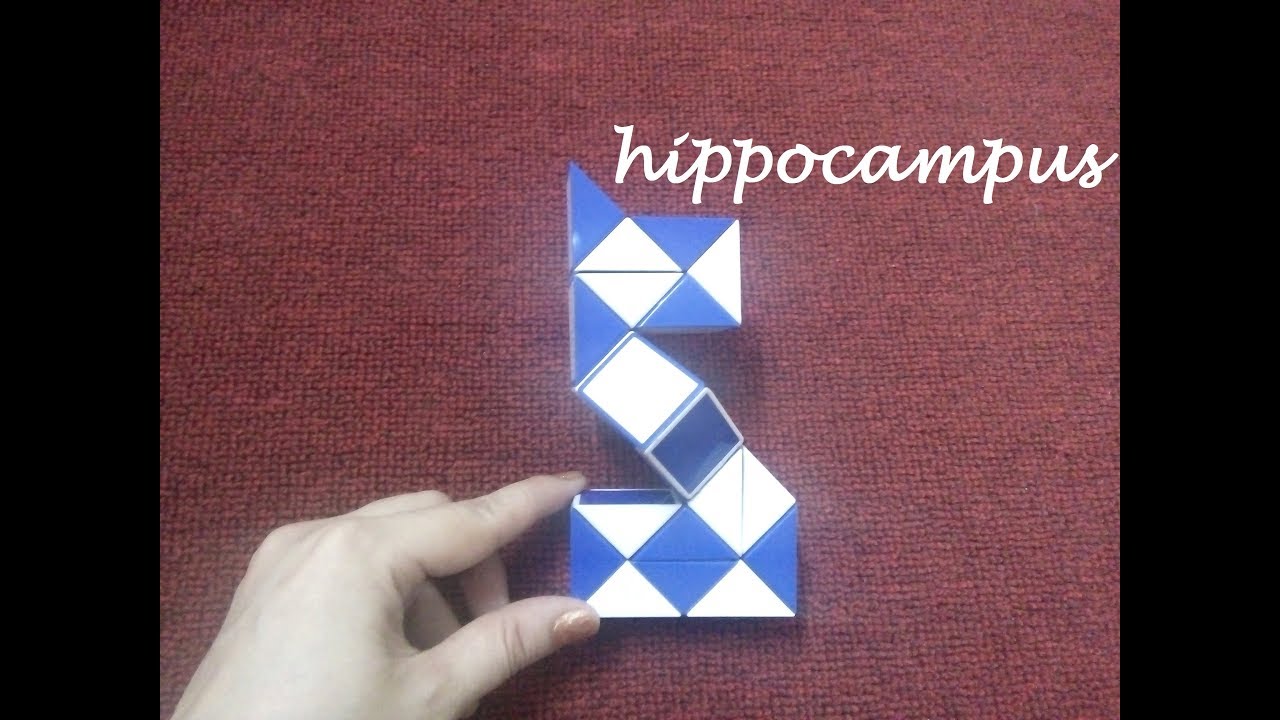 Magic snake or Rubik's twist 24 - Hippocampus - 海 马 - YouTube