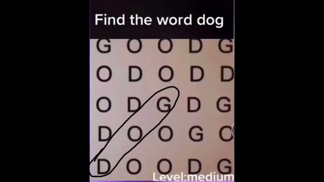 Find The Word Dog YouTube find-the-word-dog-youtube