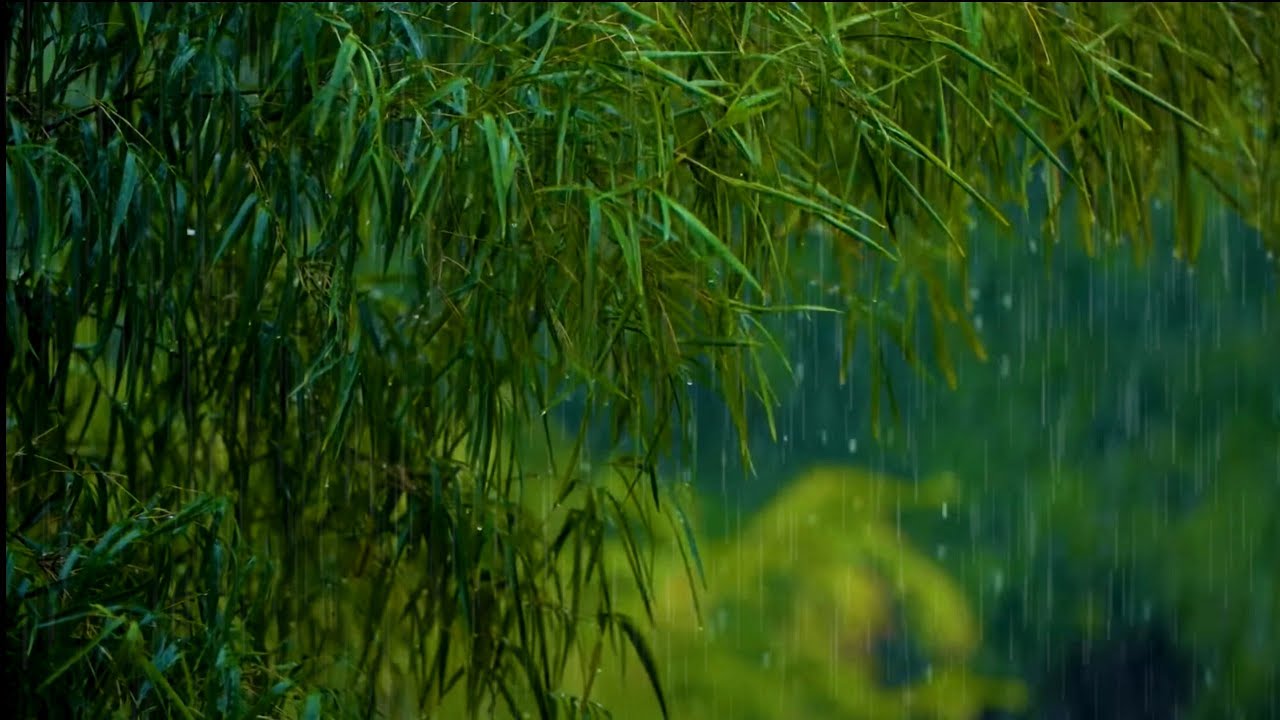 Relaxing Rain Sounds for Deep Sleep and Stress Relief | Soothing Nature ...