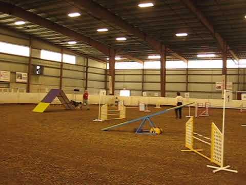 June 6, 2009 - AKC FAST (Fifteen And Send Time) Novice Agility Course ...