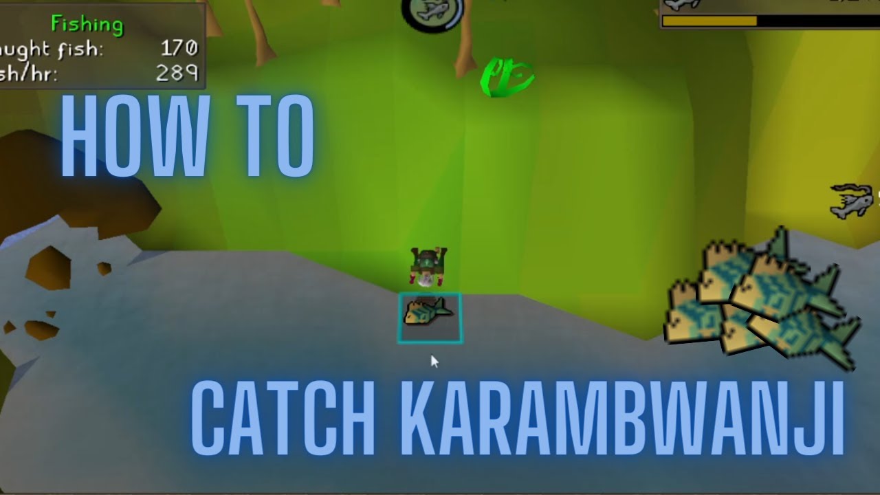 OSRS How to catch karambwanji - YouTube