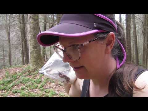 Pooping in the Woods? || HELP YOUR KIDS || Primitive Camping WITH KIDS