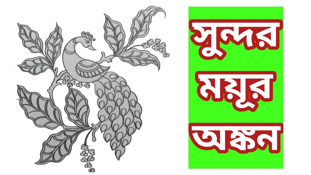 How To Draw Peacock | Peacock bird/moyur pakhi/ময়ূর পাখি - YouTube