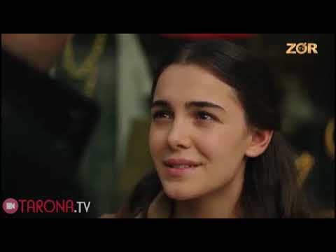Гулпери 24-кисим