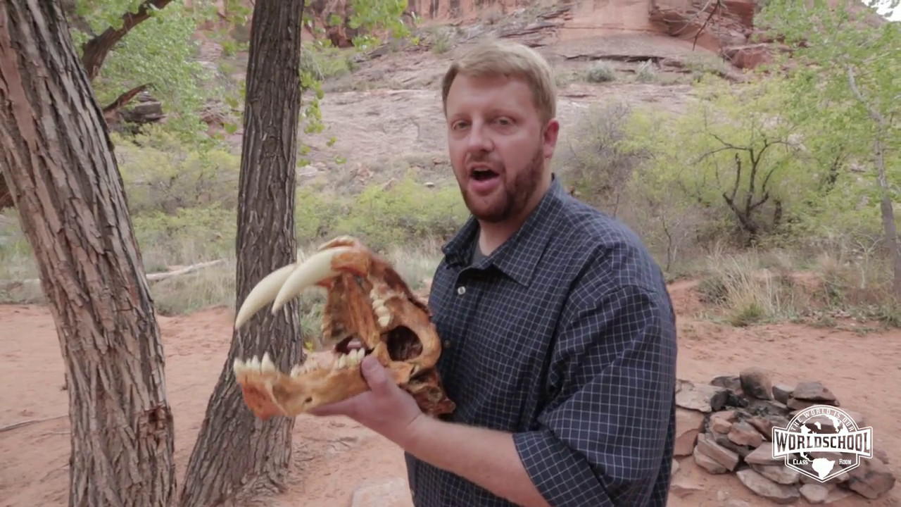 Ice Age Predators - YouTube