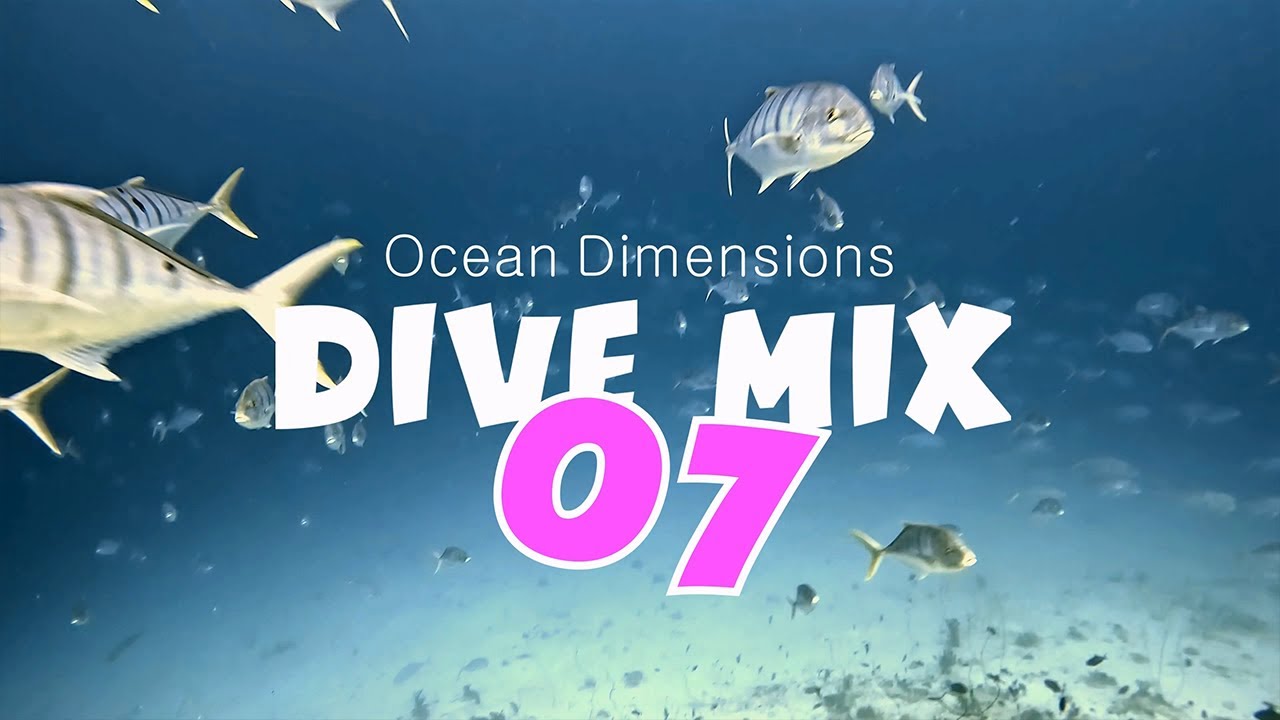 Ocean Dimensions - Dive Mix 07 - YouTube