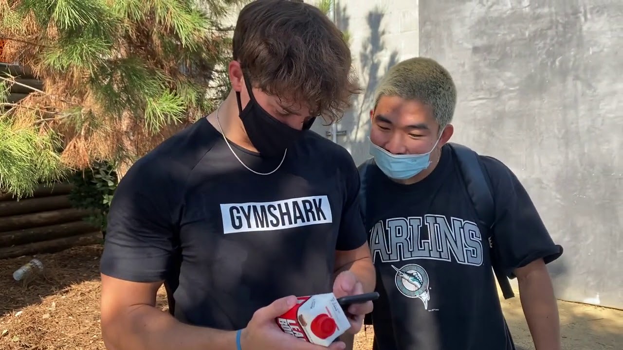 Noah Beck Speaks Dixie D'Amelio New Music Video , Addison Rae & Bryce ...