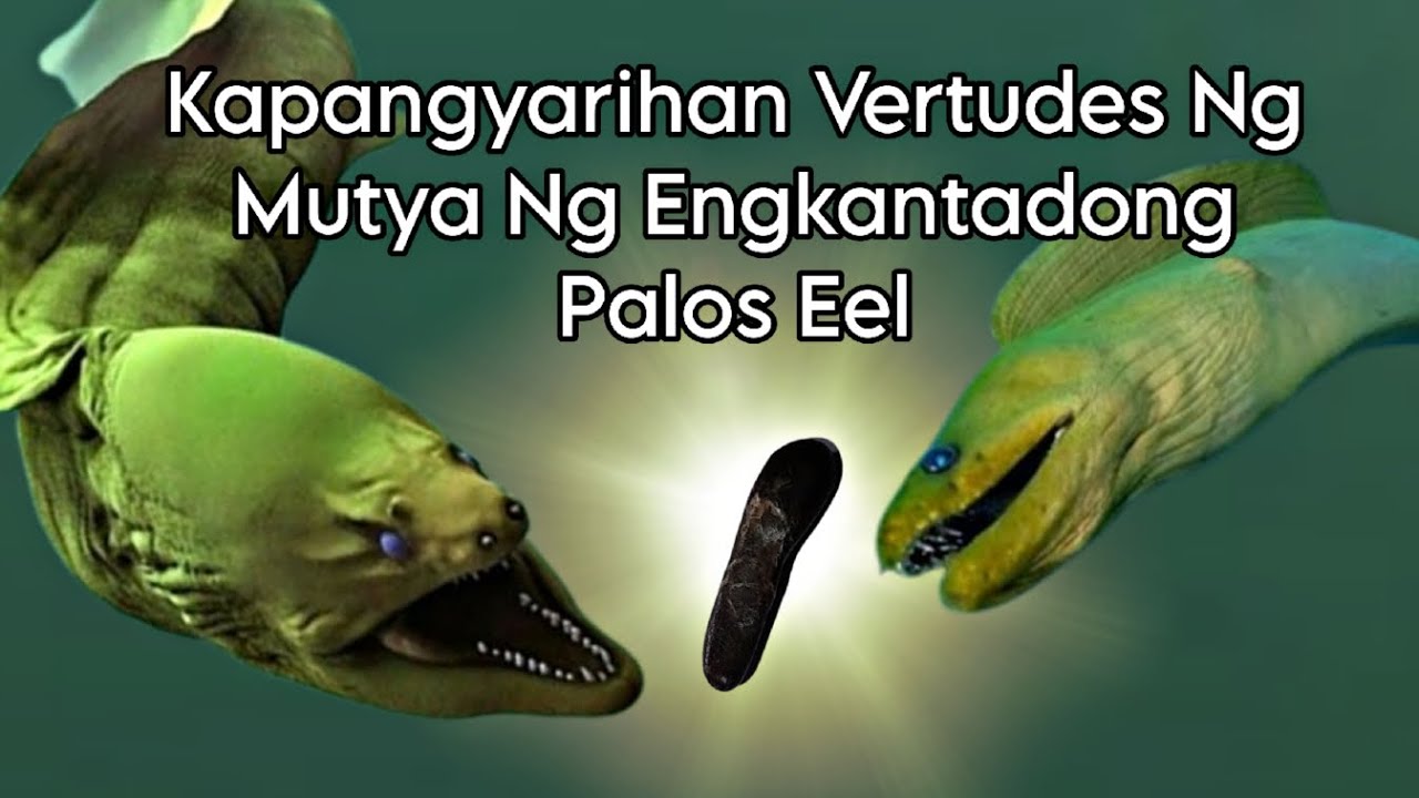 Kapangyarihan Vertudes Ng Mutya Ng Engkantadong Palos Eel - YouTube