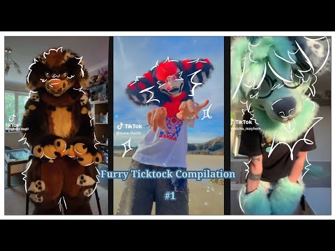 Furry ticktock compilation ~☆》#1 