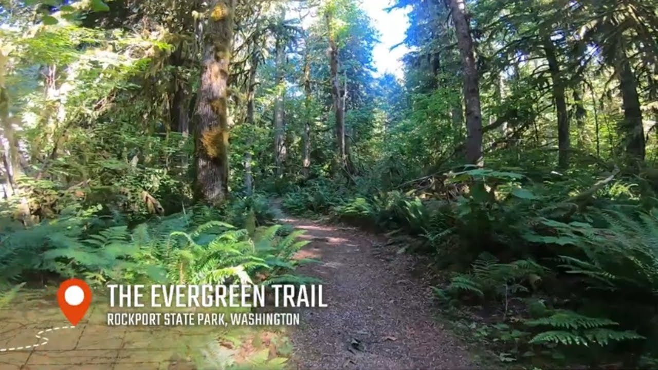 EVERGREEN TRAIL | ROCKPORT STATE PARK | ROCKPORT WASHINGTON | 4K NATURE ...