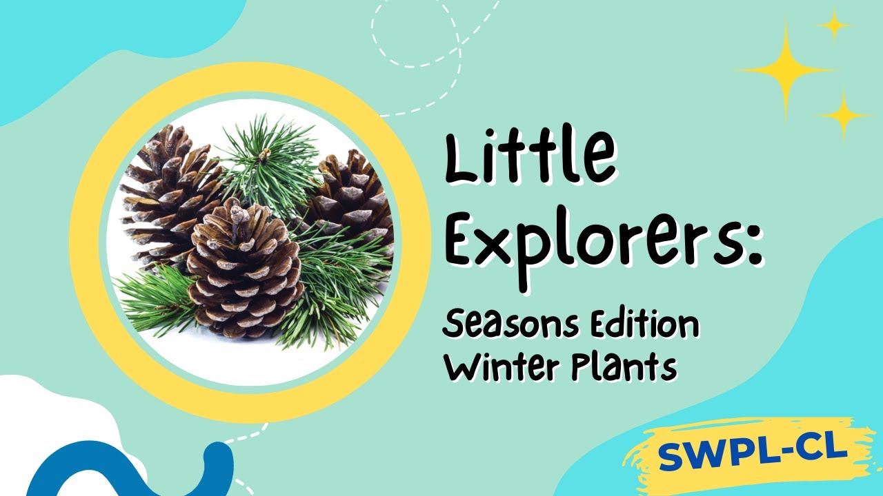Little Explorers - Seasons Edition - Winter Plants - YouTube