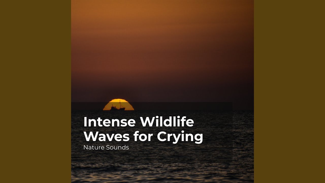 Wild Animals in Chorus - YouTube Music